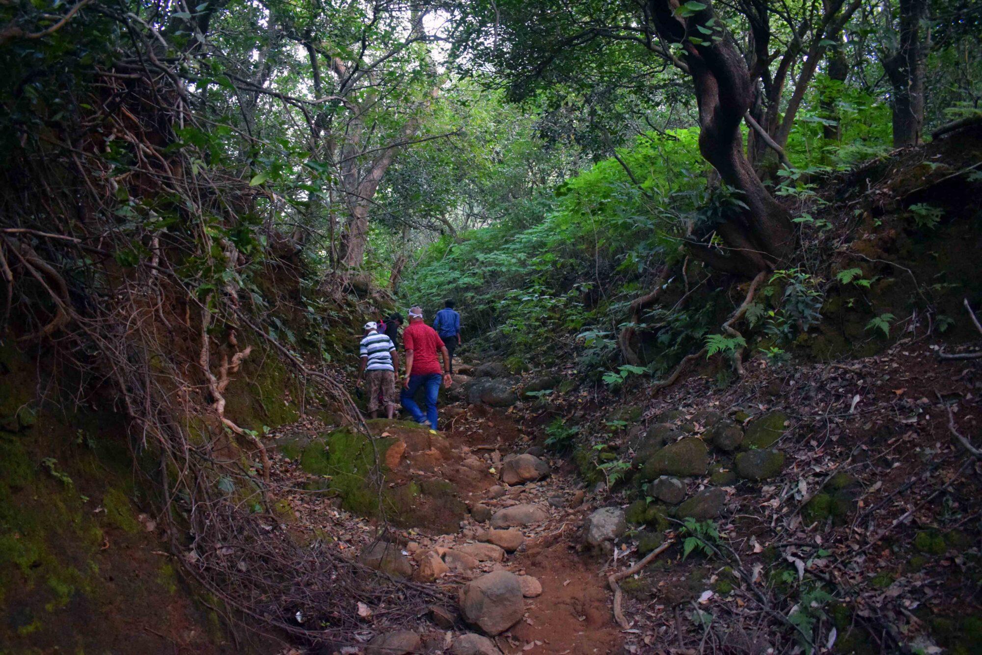 Visit & trek - Harishchandragad.in